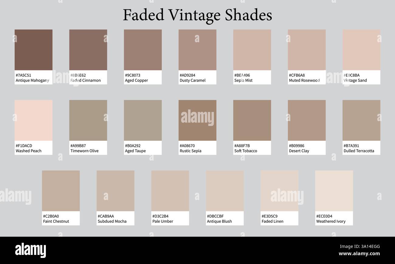 Color Palette 20 Shades of Faded Vintage Brown - Soft, Timeworn, Pastel ...