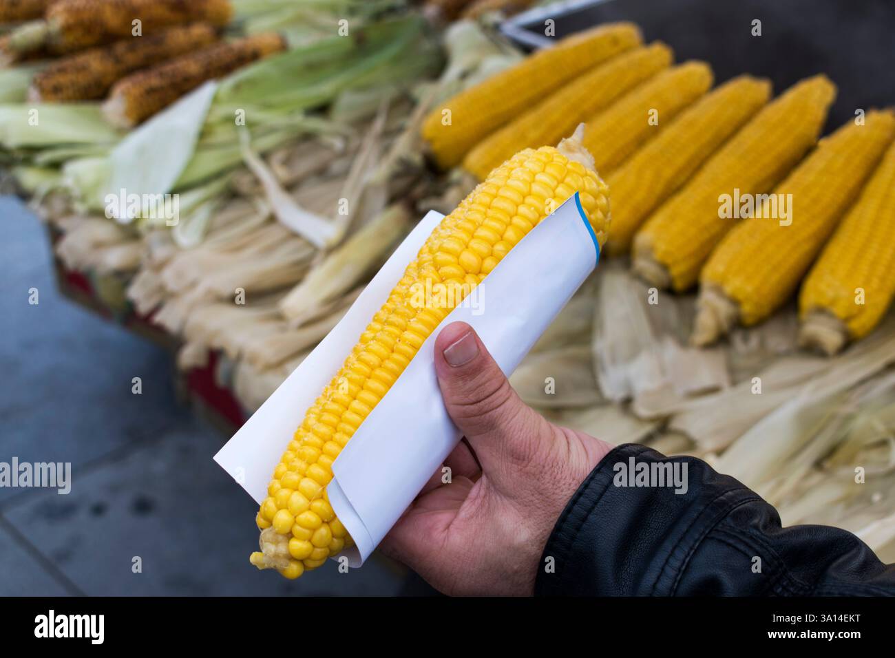 Fresh boiled corn, street food Stock Photo - Alamy