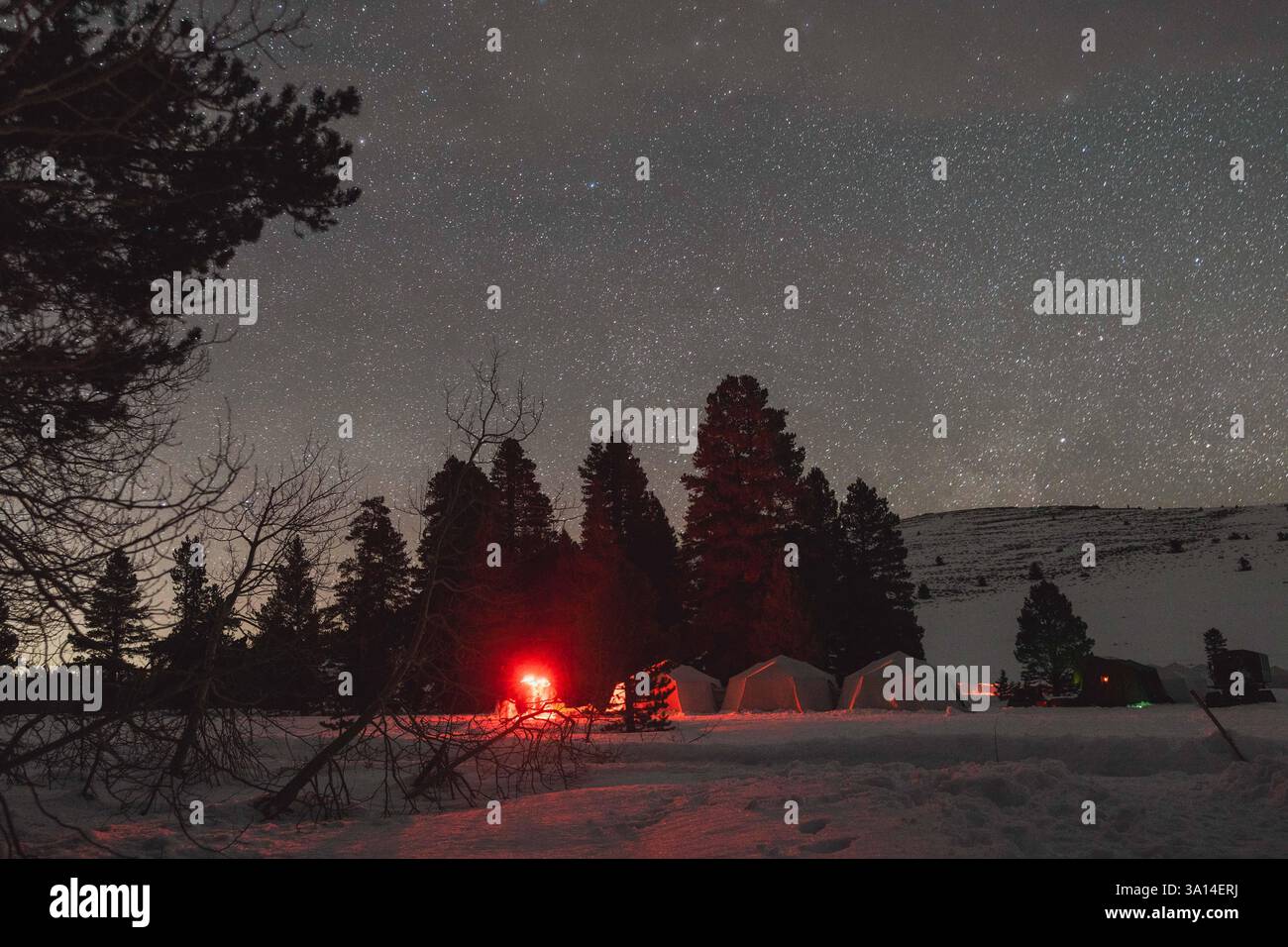 Bridgeport, California, USA. 2nd Mar, 2025. U.S. Marines with Combat ...