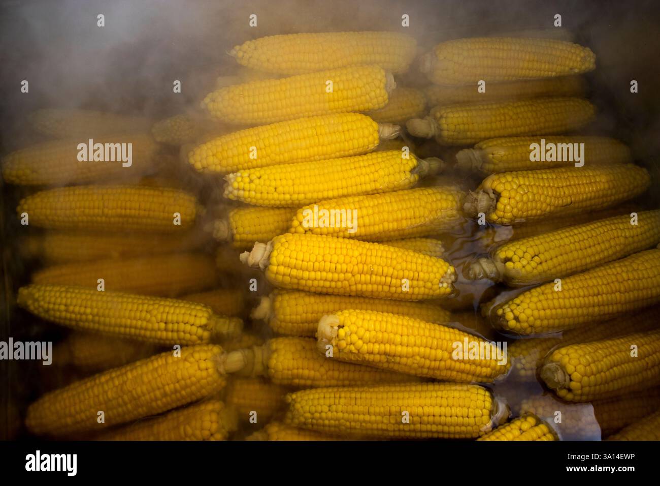 Street food cooking corn in hi-res stock photography and images - Alamy