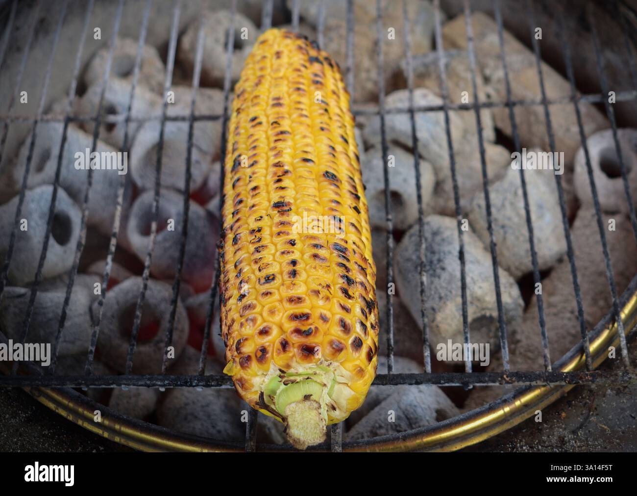 Corn roast on charcoal - street food Stock Photo - Alamy