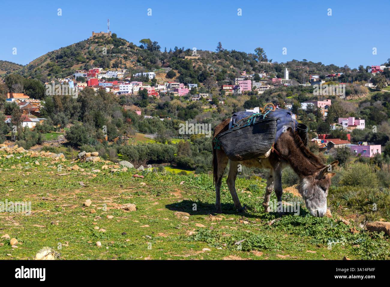 Teroual is a small town and rural commune in Ouezzane Province of the ...