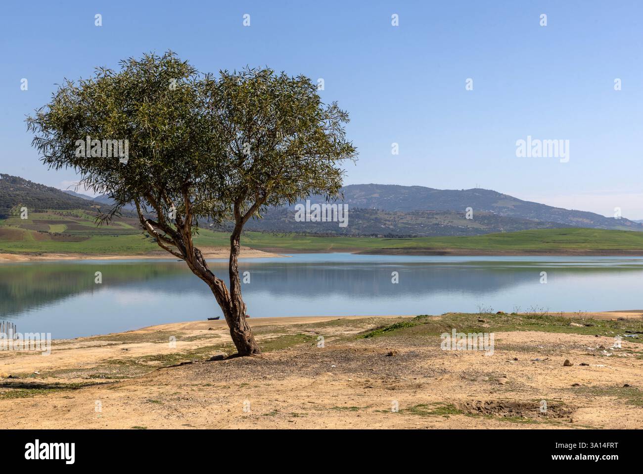 The M'Jaara Dam, also known as Al Wahda Dam, is an embankment dam ...