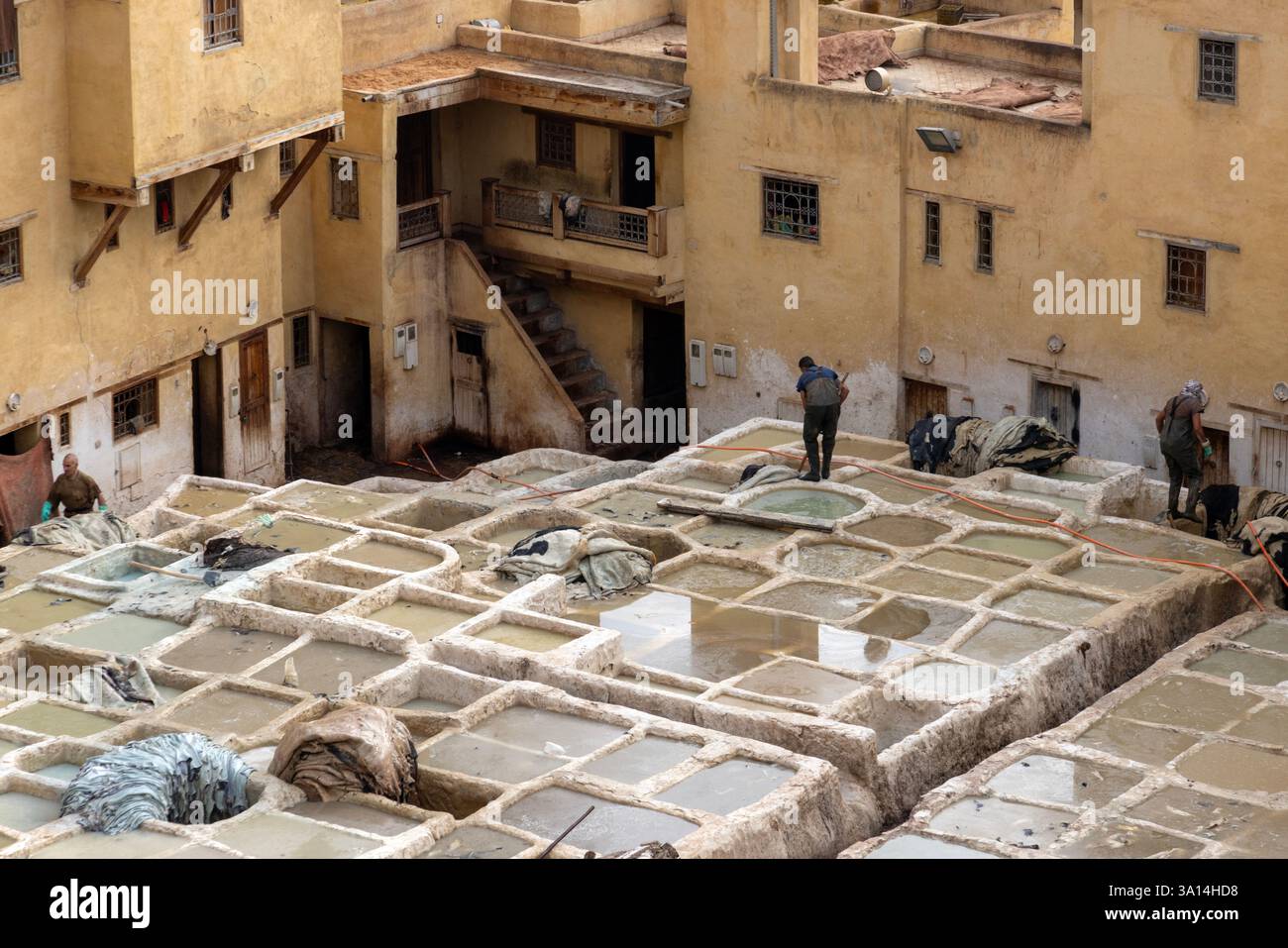 The tanning industry is a popular tourist attraction in Fez, Morocco ...