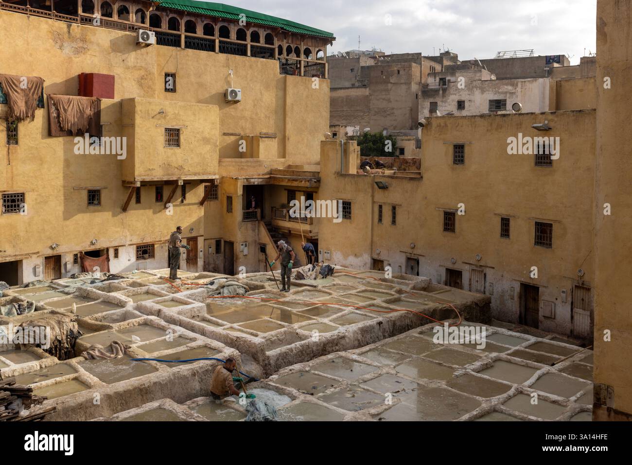 The tanning industry is a popular tourist attraction in Fez, Morocco ...