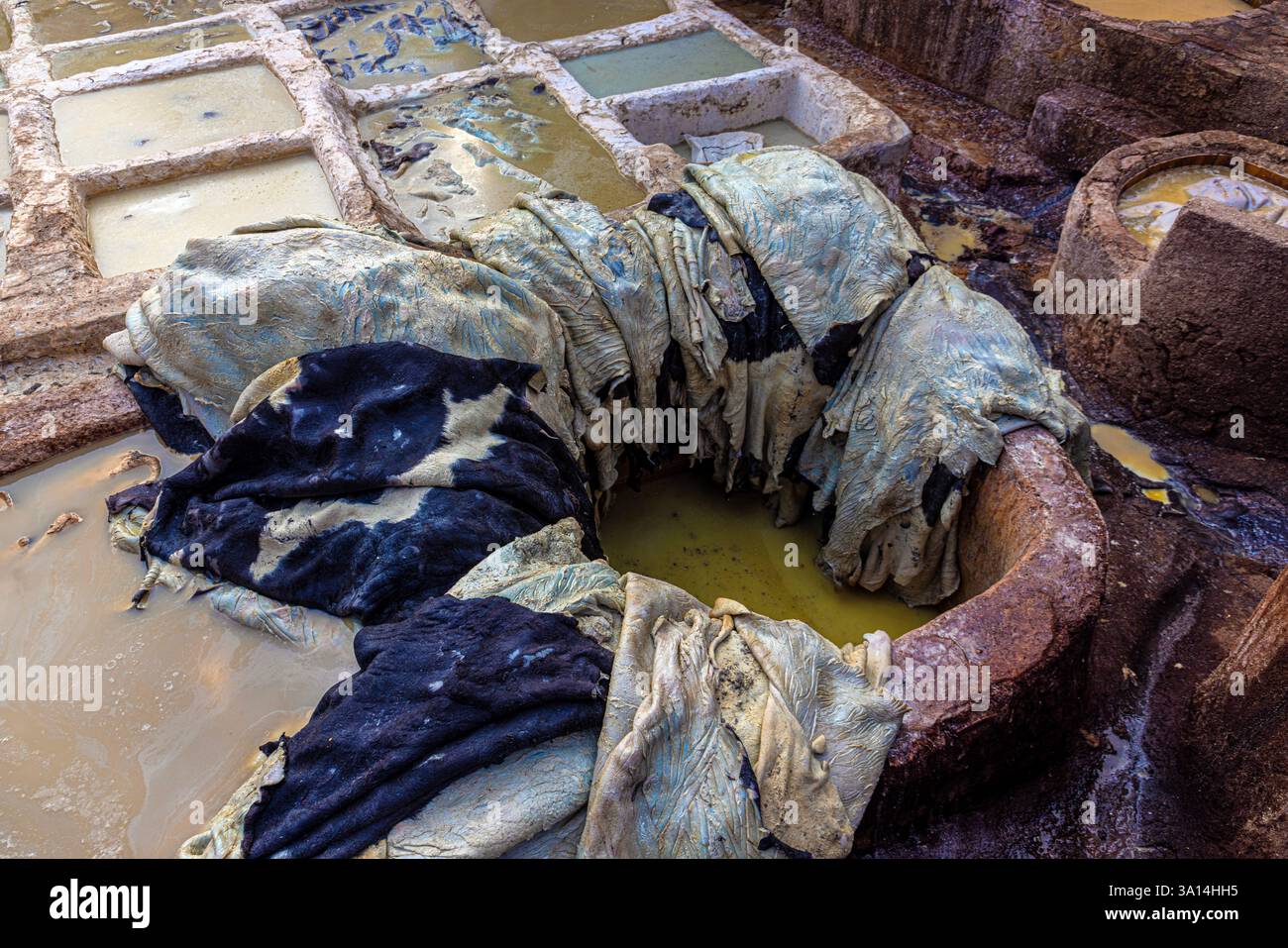 The tanning industry is a popular tourist attraction in Fez, Morocco ...