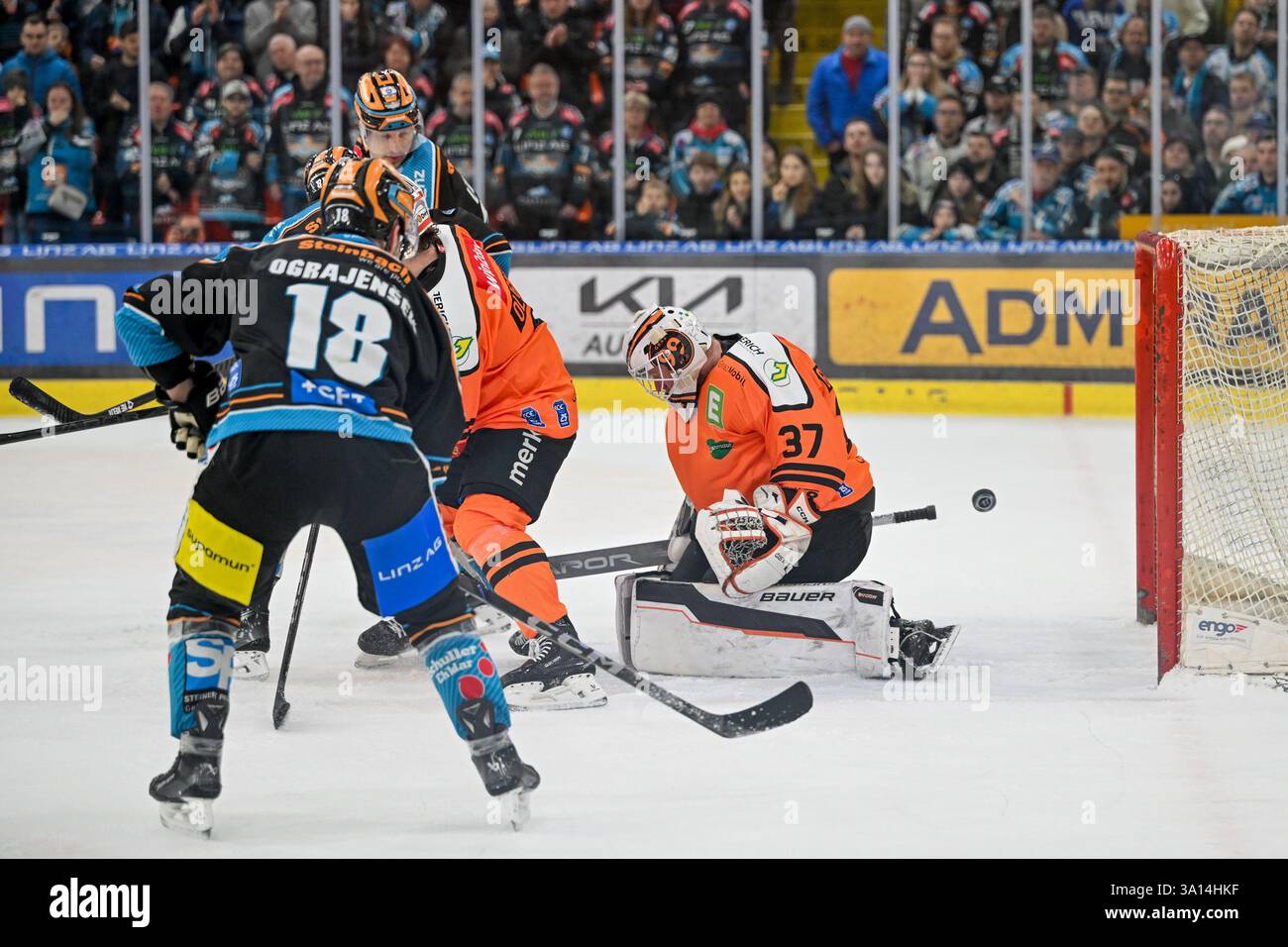 Linz, Austria. 06th Mar, 2025. LINZ, AUSTRIA -MARCH 6: Ken Ograjensek of Steinbach Black Wings ...