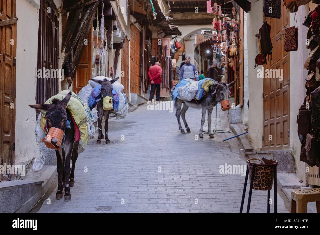 The historic heart of Fez, the medina Fes El Bali, is a maze of narrow ...