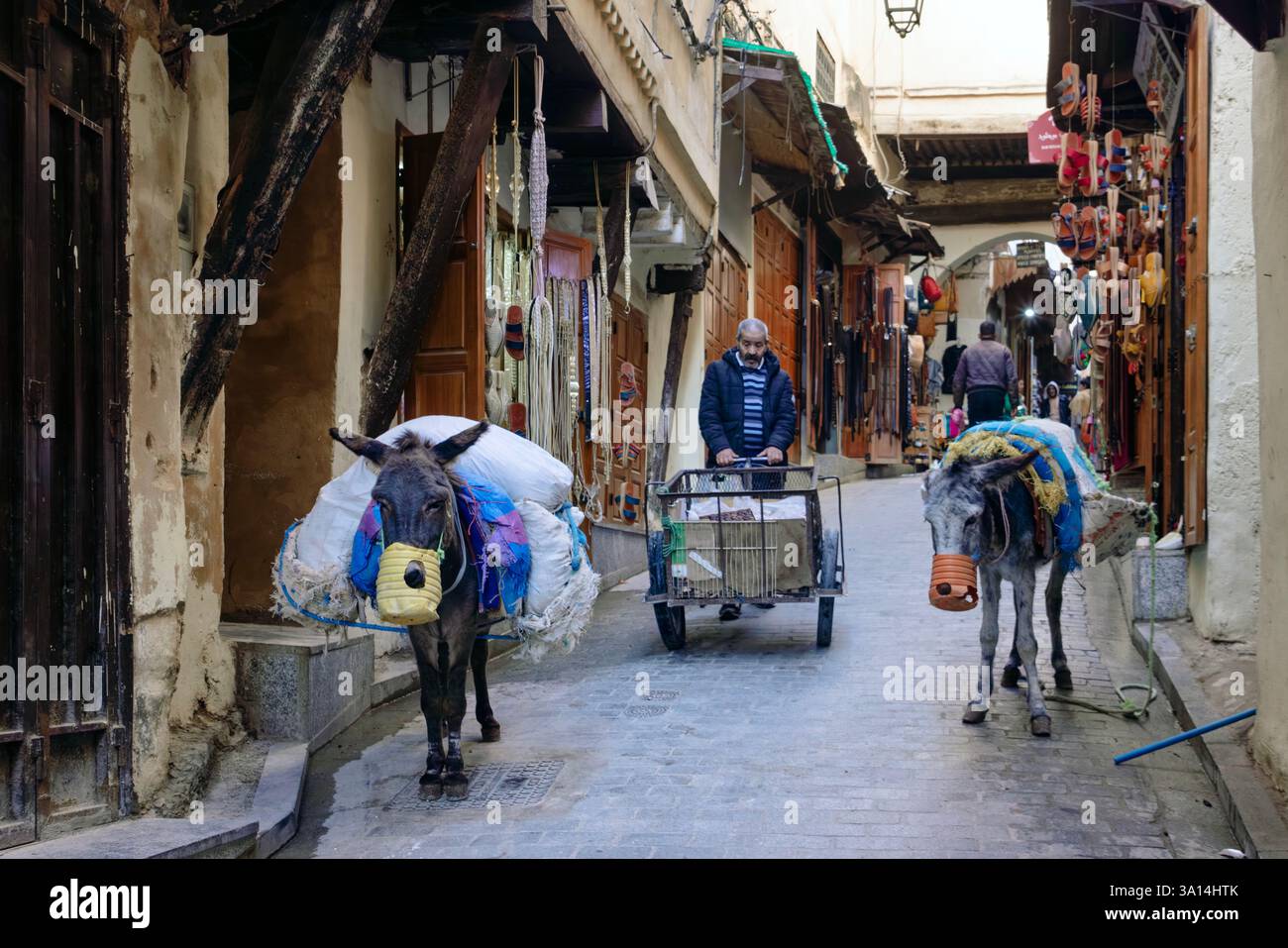 The historic heart of Fez, the medina Fes El Bali, is a maze of narrow ...