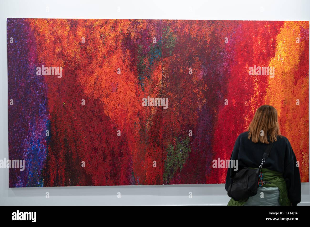 Madrid, Spain. 06th Mar, 2025. A visitor observes an artwork of artist ...