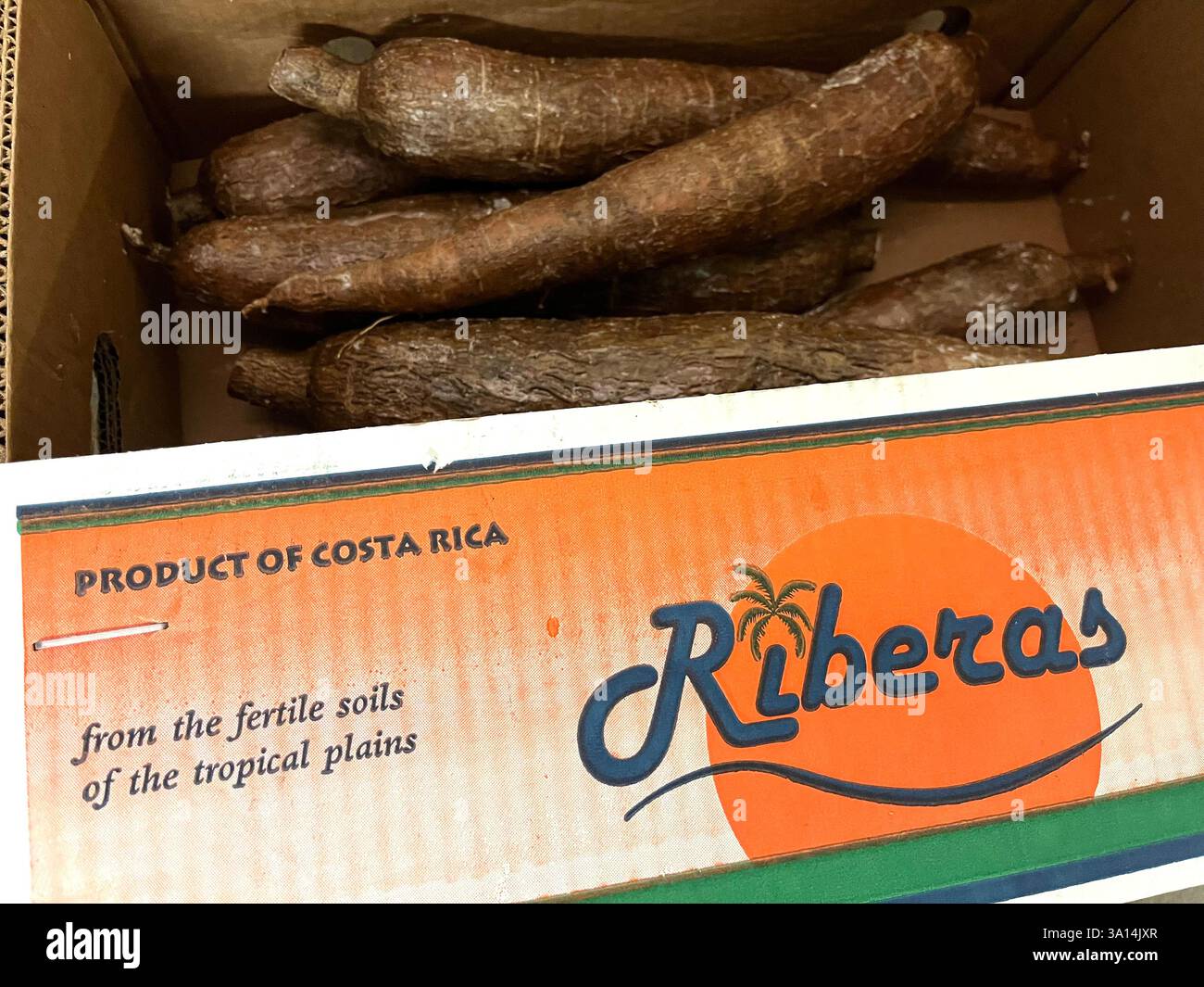 tapioka, mandioka, cassava, yuka, Product of Costa Rica, Riberas ...