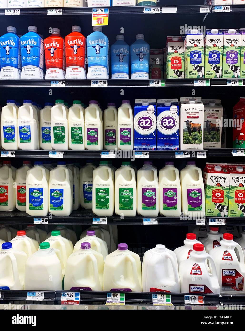 Dairy section in grocery store, Brooklyn, NY, USA Stock Photo - Alamy