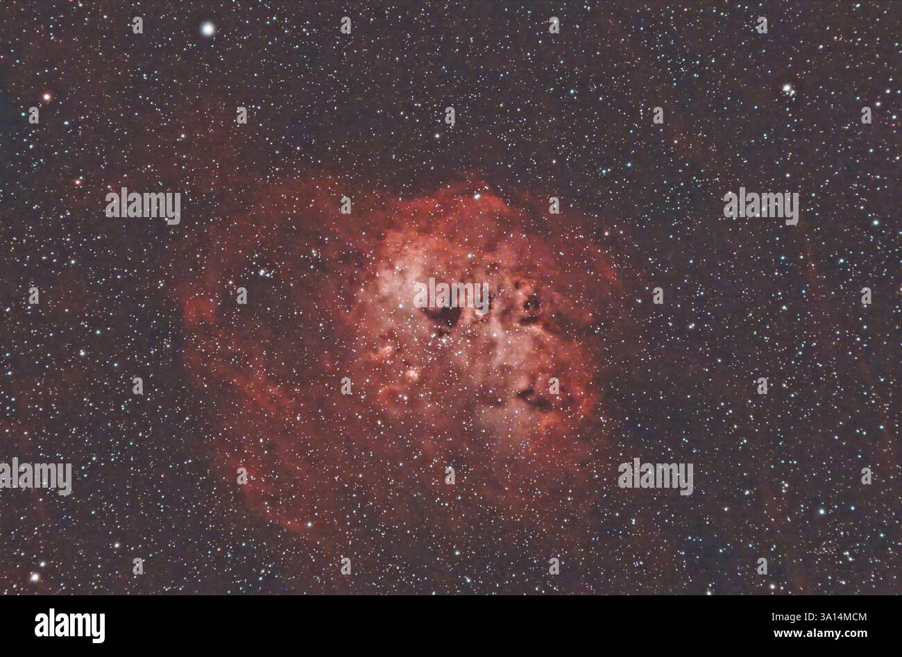 Tadpole Nebula, IC 410, a star-forming region in the constellation Auriga that looks like ...