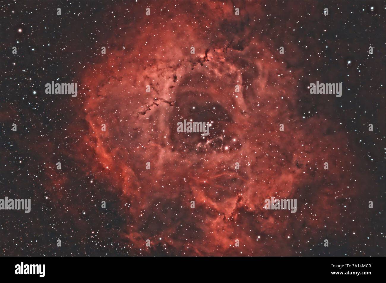 Rosette Nebula (Caldwell 49) is an H II region located near one end of a giant molecular cloud ...