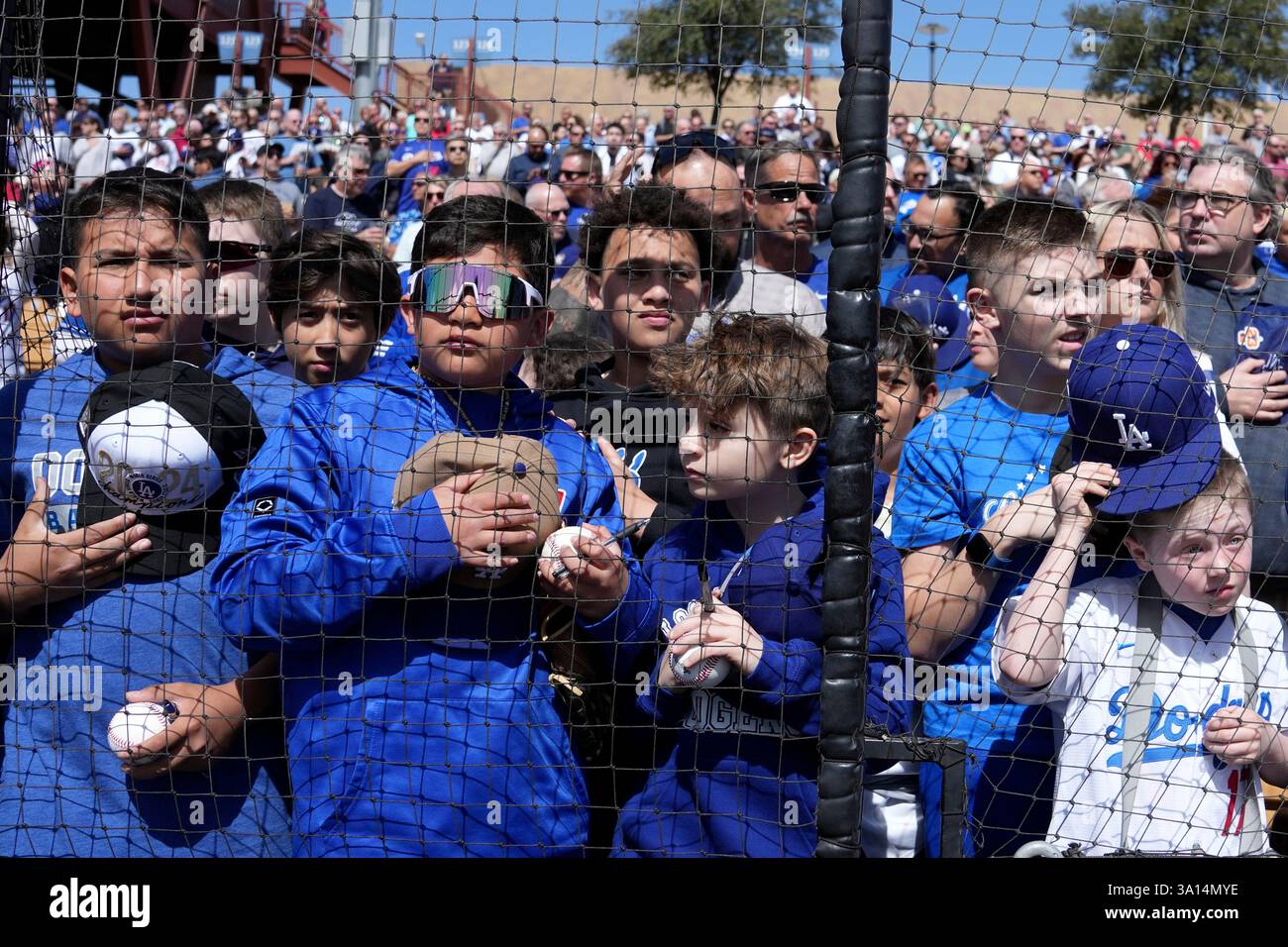 Los Angeles Dodgers fans attend a spring training baseball game against ...