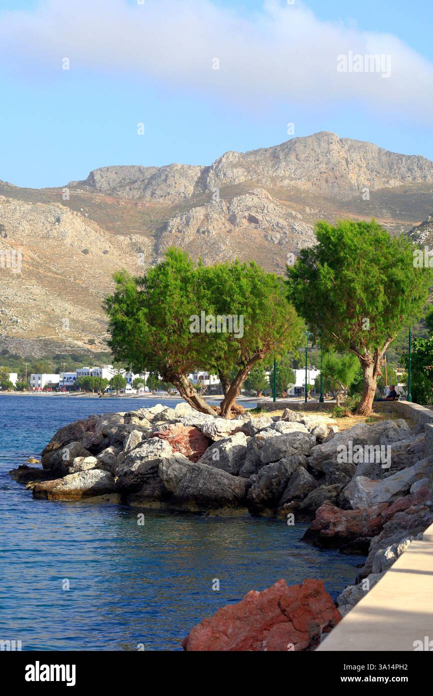 Tamarisk trees and view across Livadia Bay towards the mountains, Tilos ...
