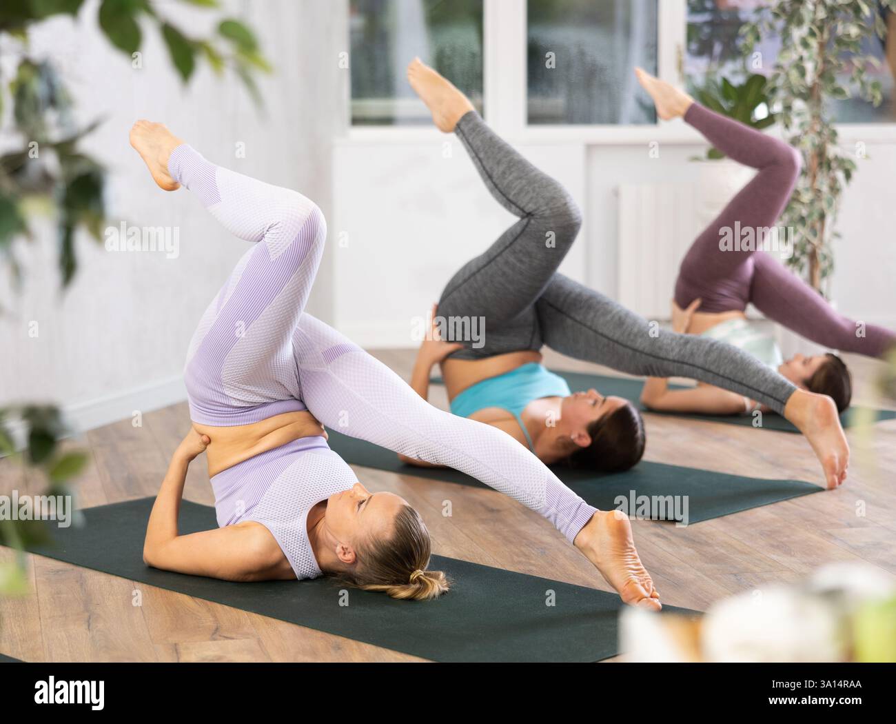 Group of active women practice various yoga poses Stock Photo - Alamy