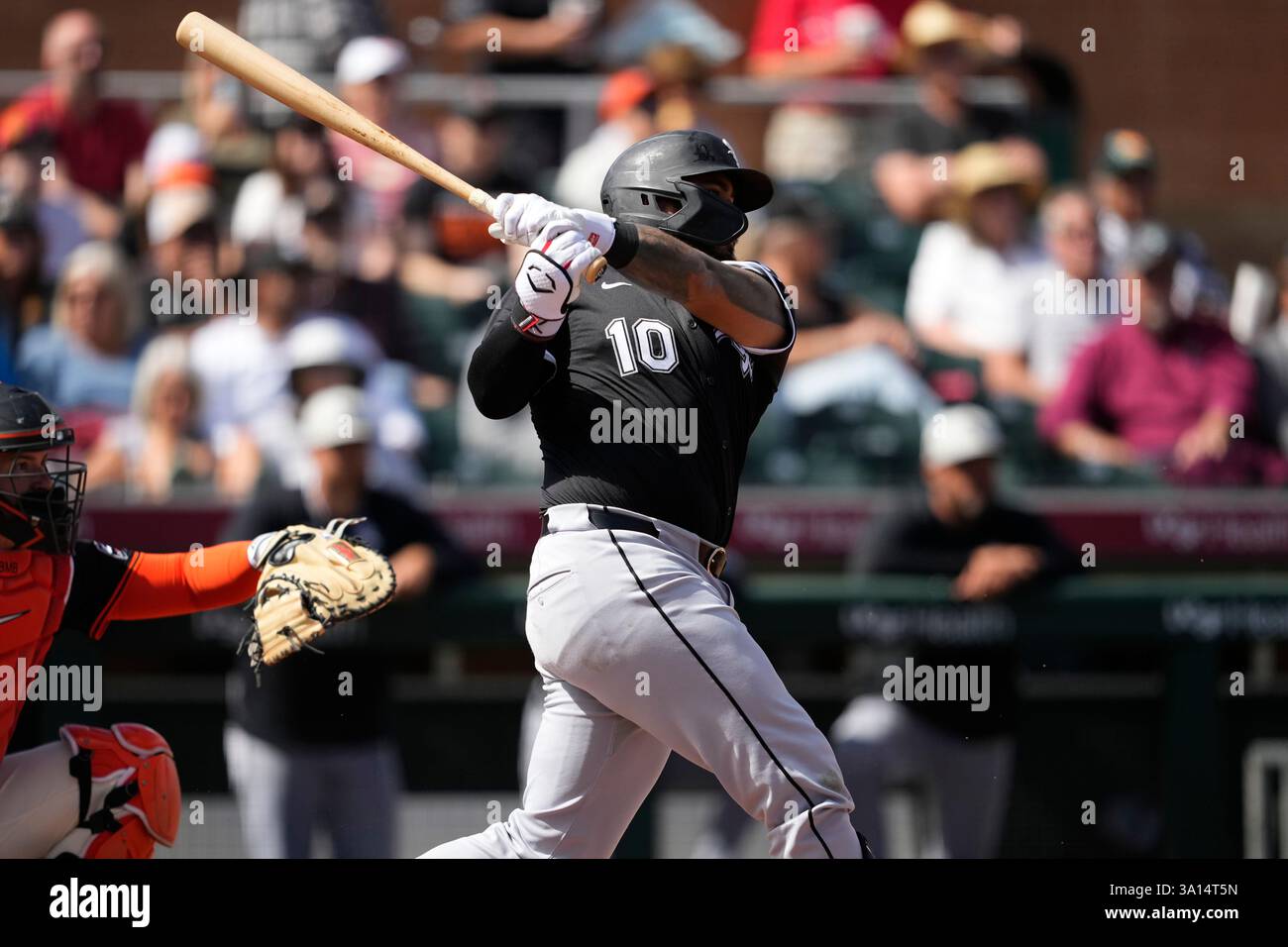 Chicago White Sox Omar Narvaez hits during a spring training baseball ...