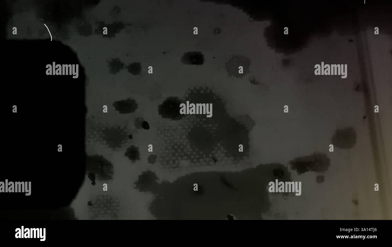 Film noise grain texture Retro vintage screen Negative film with ...