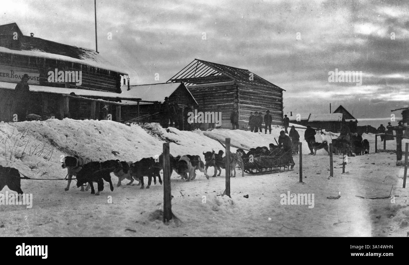 Photo shows the Iditarod Trail in Knik, Alaska, with two of the dog ...