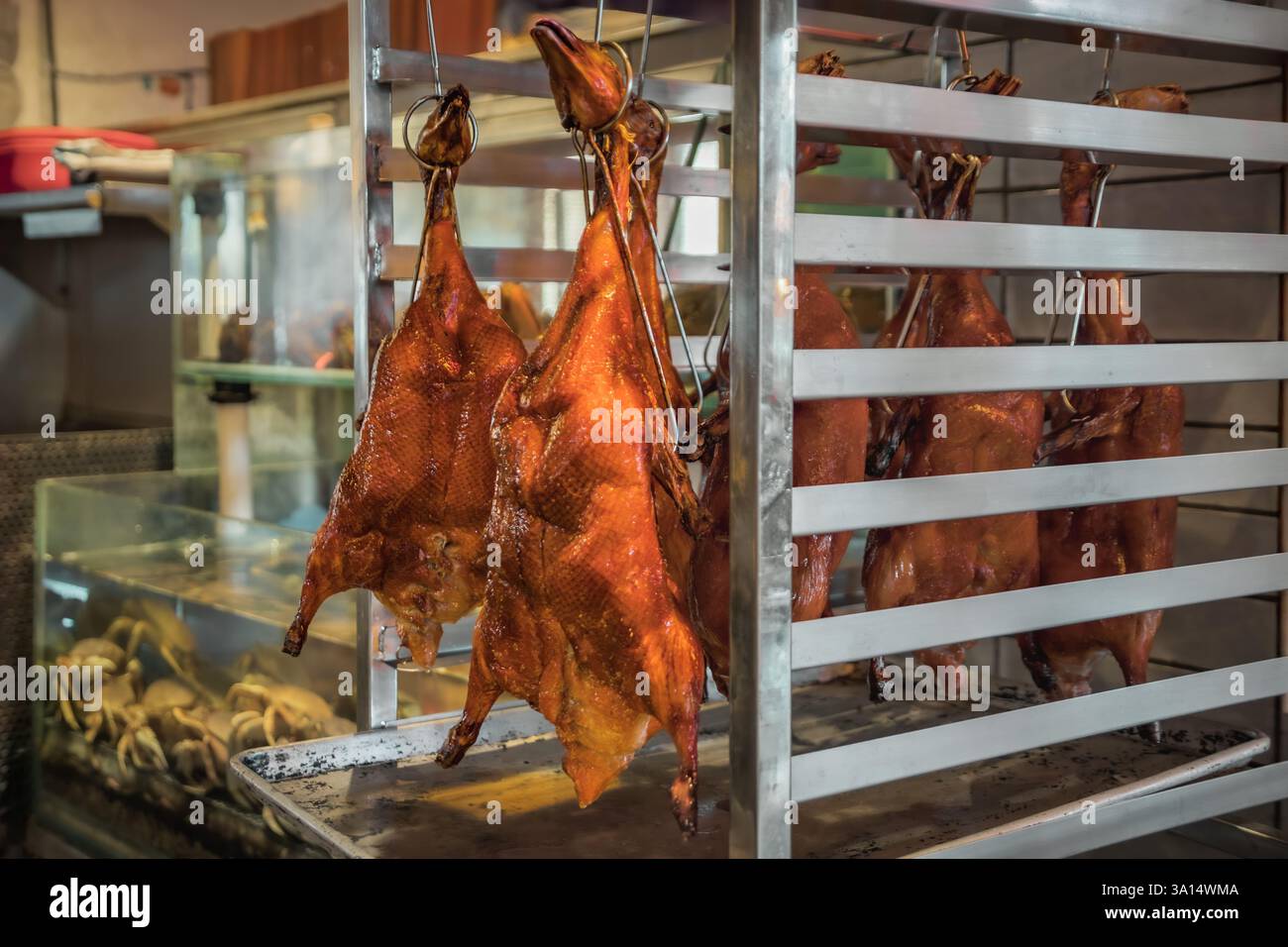 Traditional Chinese whole roasted Peking duck hanging on roasting hooks ...
