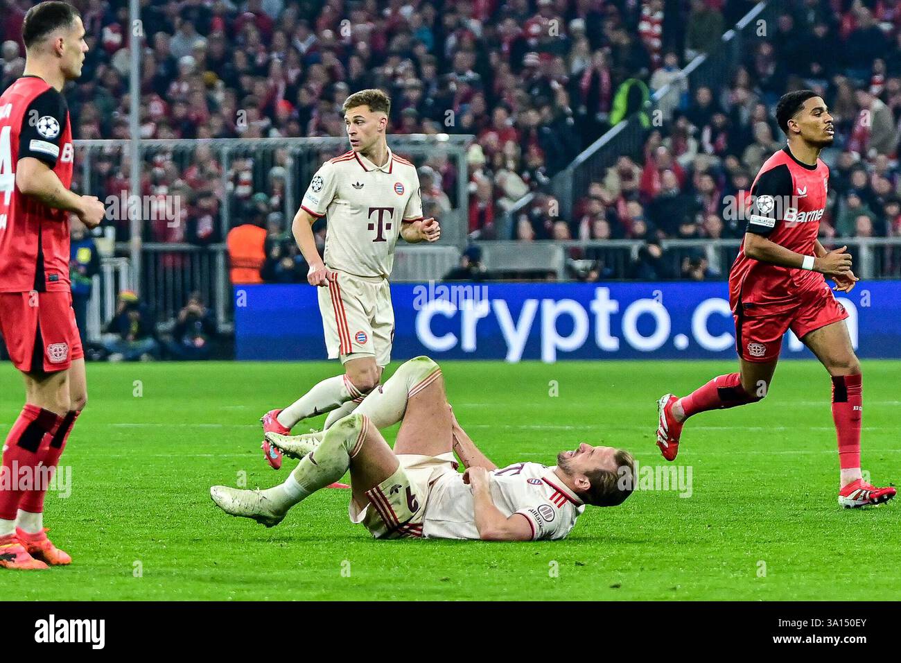 GER, Bayern, Muenchen, Fussball, FC Bayern Muenchen - Bayer 04 ...