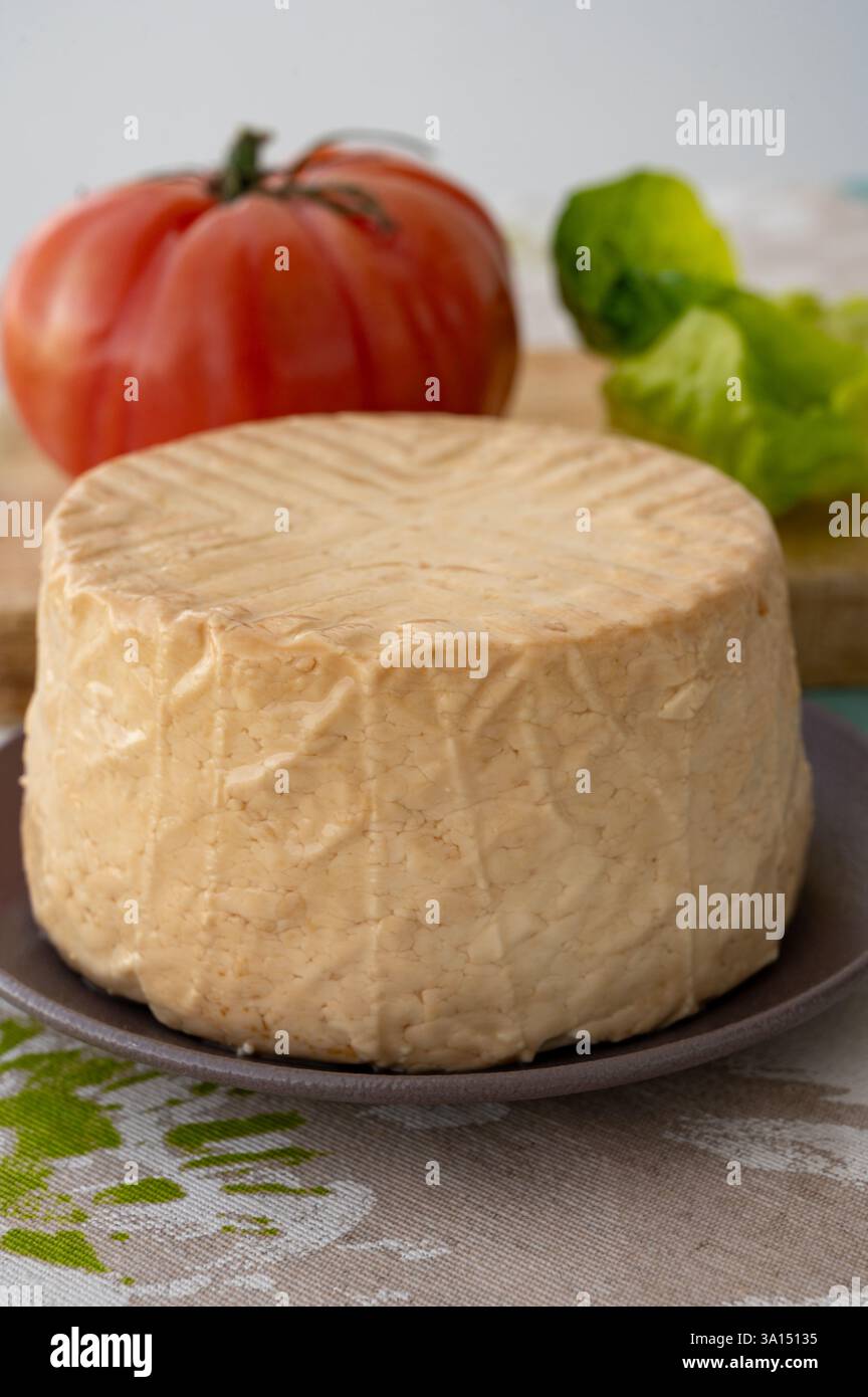 Cheese collection, piece of round fresh smoked Spanish goat cheese with ...