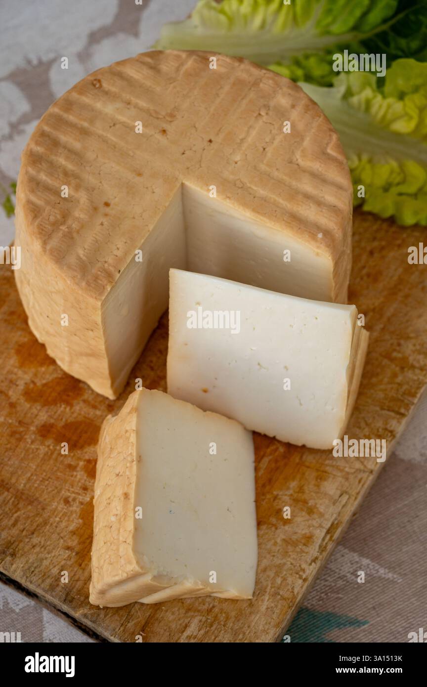 Cheese collection, piece of round fresh smoked Spanish goat cheese with ...