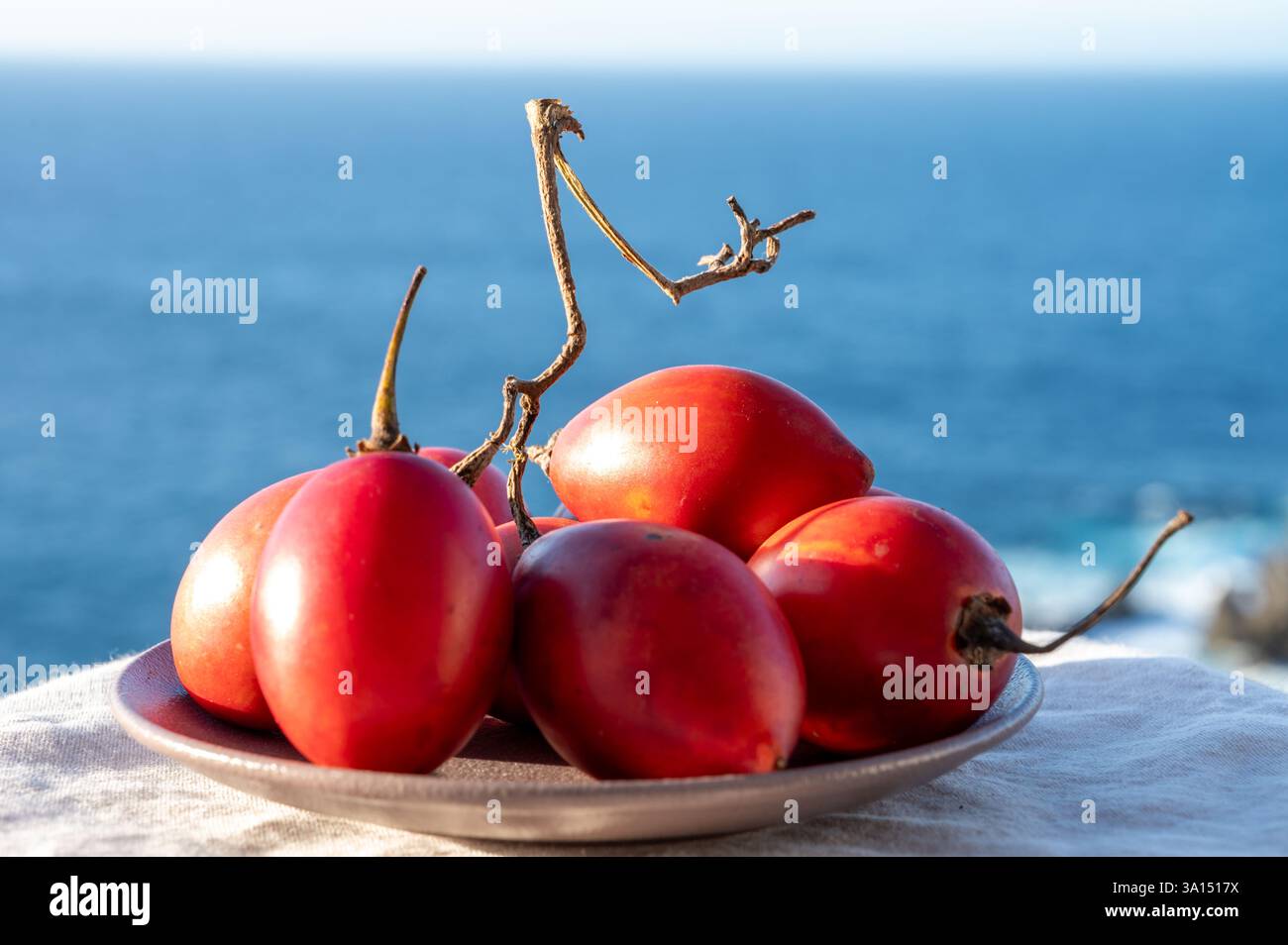 Eco farming in Spain, organic ripe red tamarillo tomato tree tropical ...