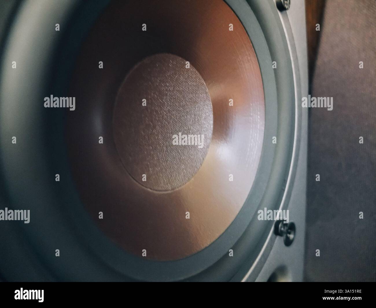 Floorstanding loudspeaker, close-up of the speaker cone Stock Photo - Alamy