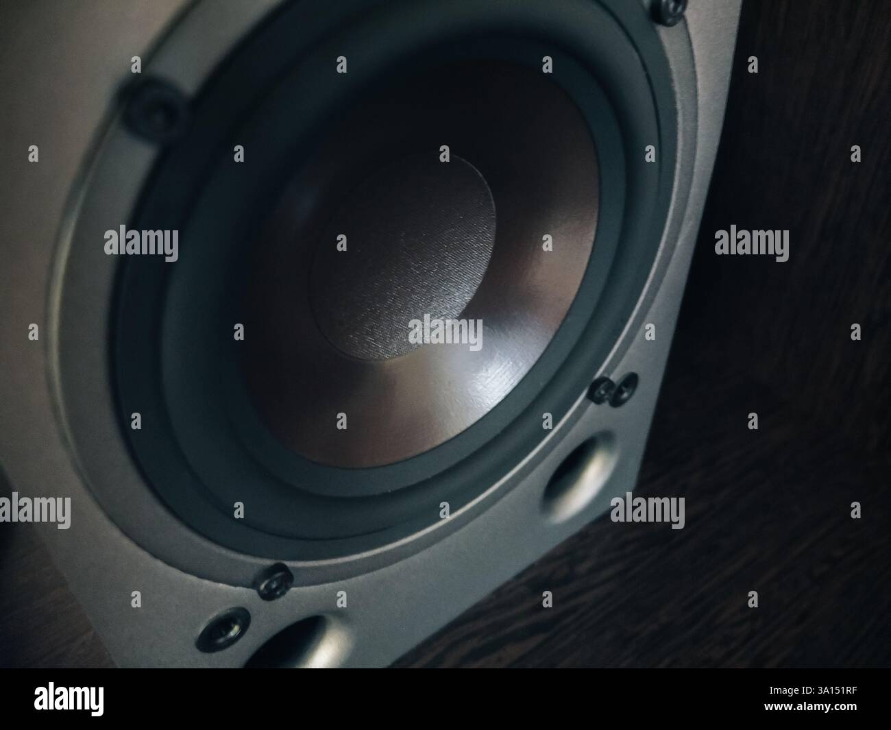 Floorstanding loudspeaker, close-up of the speaker cone Stock Photo - Alamy