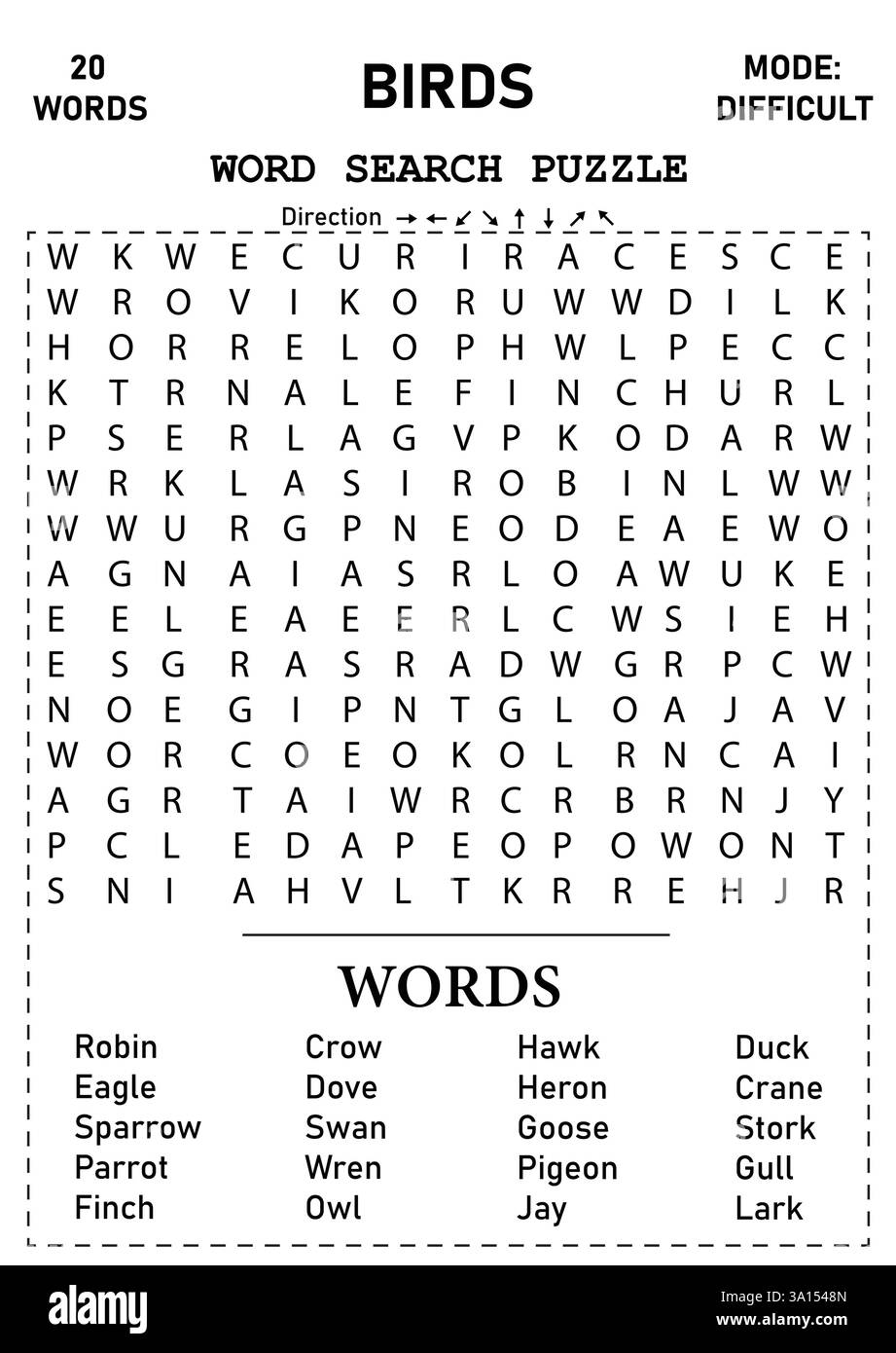 Challenging 15x15 Word Search Puzzle on Birds for All Ages Fun and ...