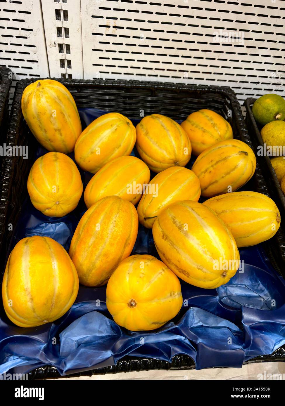 Korean melons in a market Stock Photo - Alamy