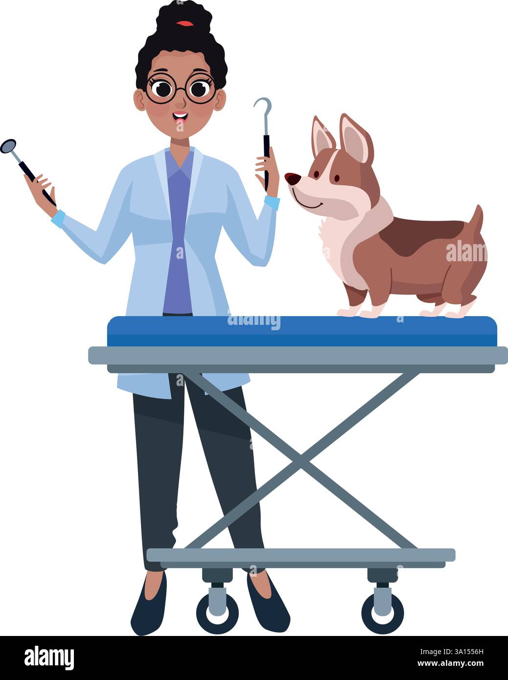 Pet Dental Examination Veterinary Table Icon Stock Vector Image & Art ...
