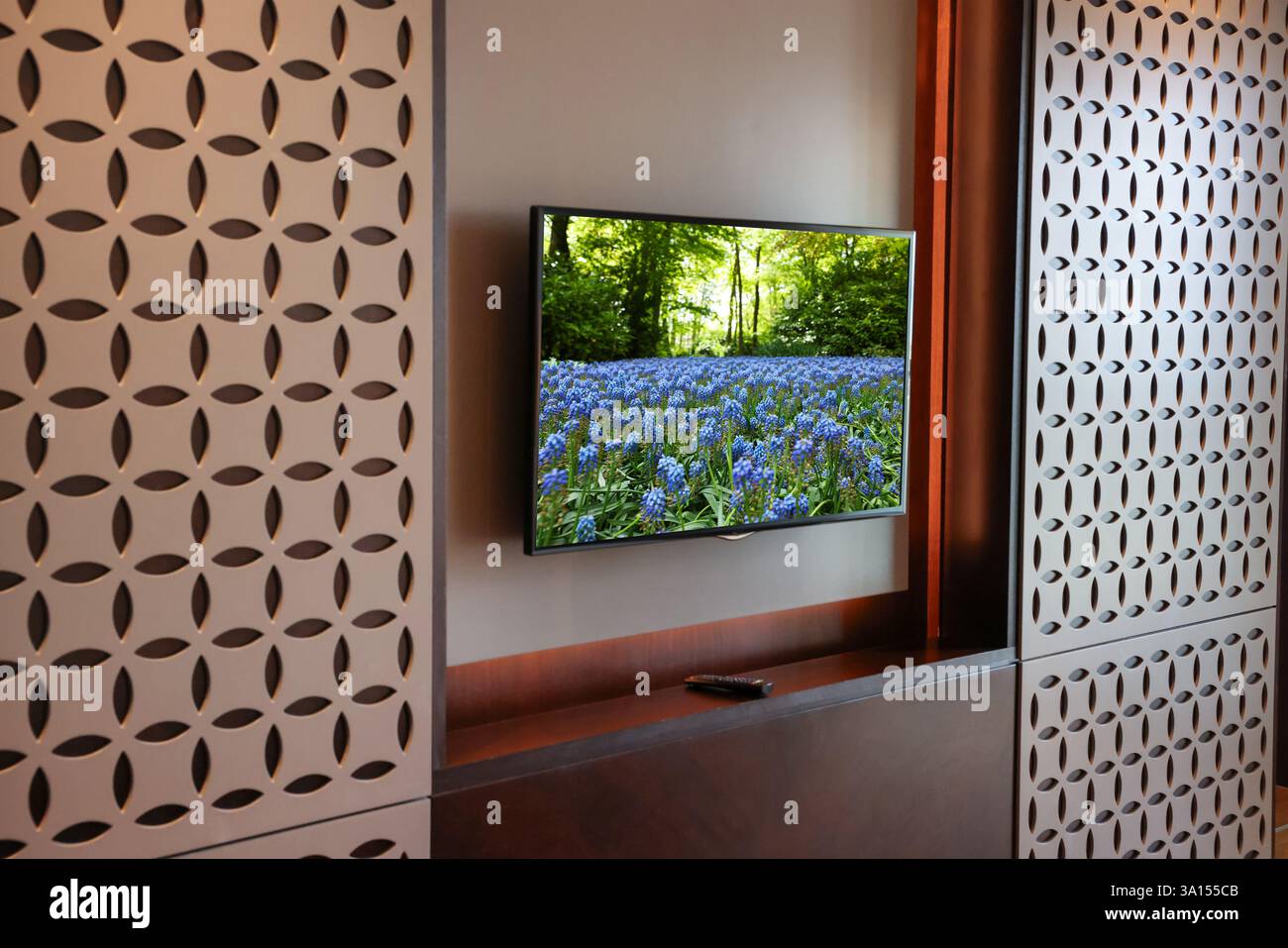 TV set with nature landscape on screen in room Stock Photo - Alamy