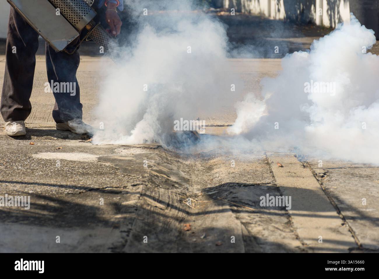 People fogging DDT spray kill mosquito for control Malaria ...