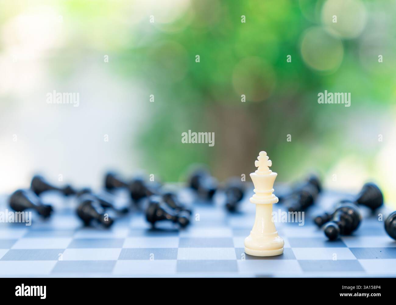 Black chess pieces lying around golden chess king on blur background ...