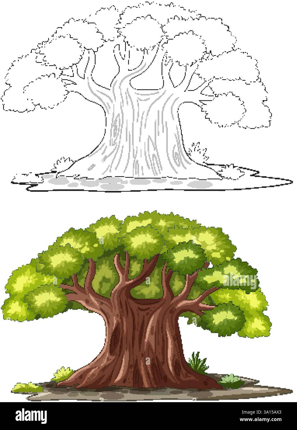 Illustration of a tree in color and outline Stock Vector Image & Art ...
