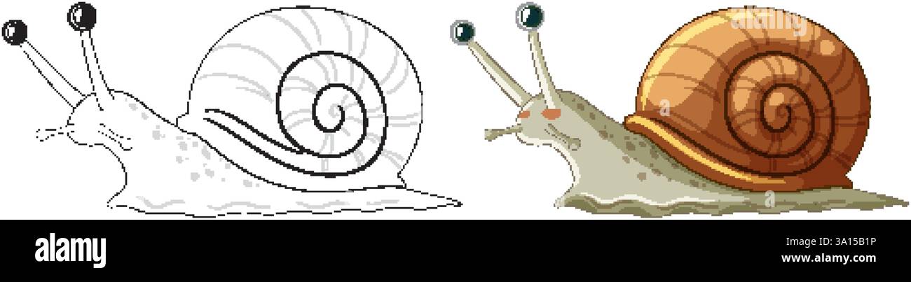 Colorful snail illustration with matching black and white outline ...