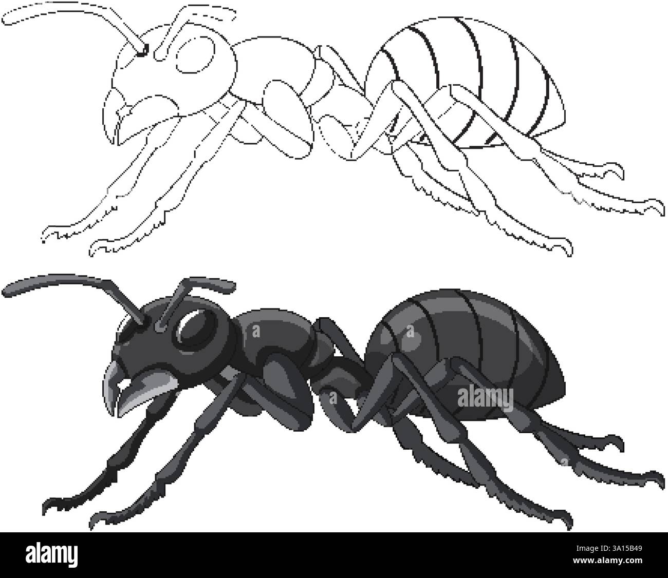 Vector illustration of ant with detailed shading and outline version ...