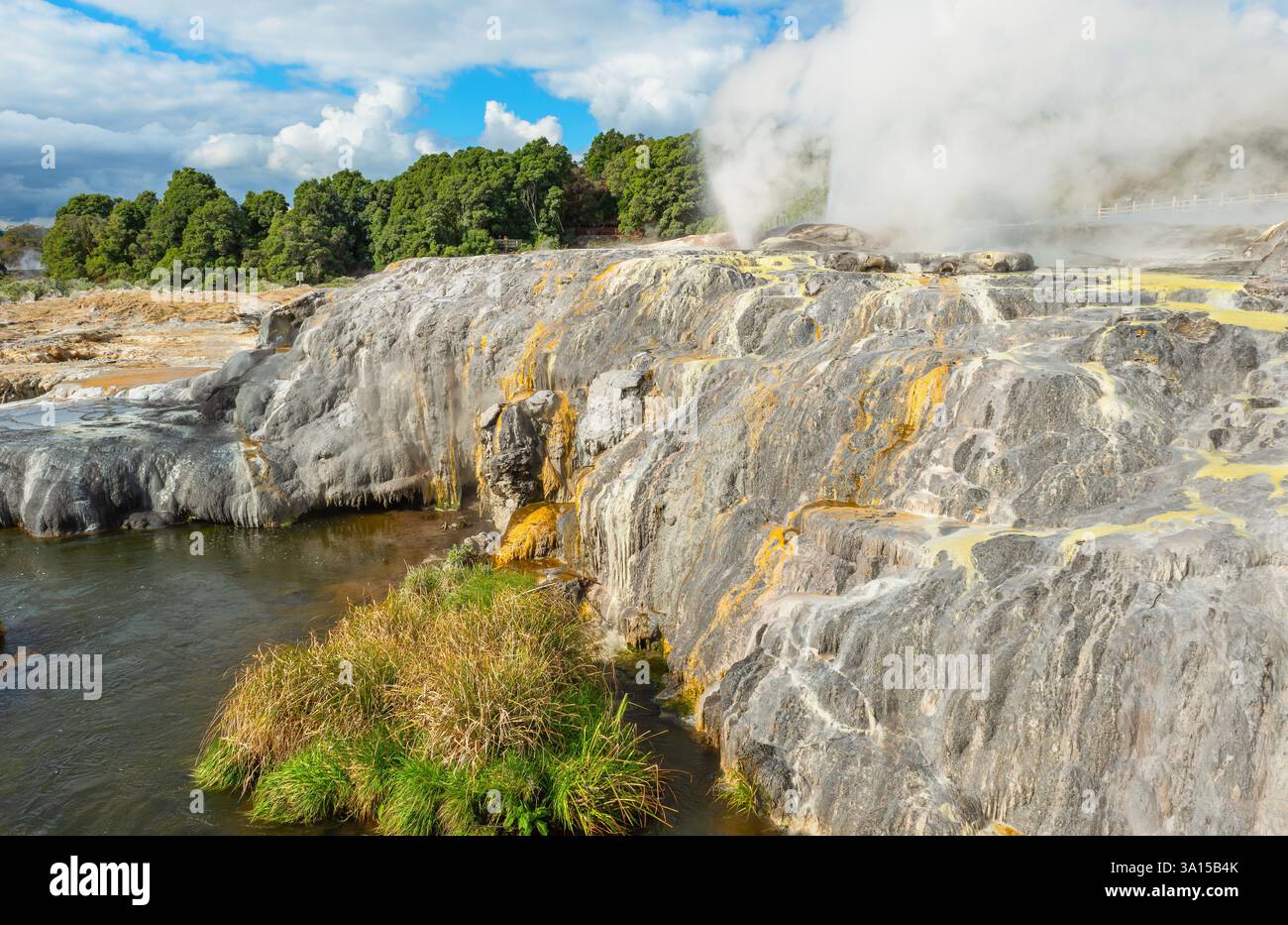 Geysers erupting, Te Puia Thermal Valley, Rotorua, Bay of Plenty, North ...