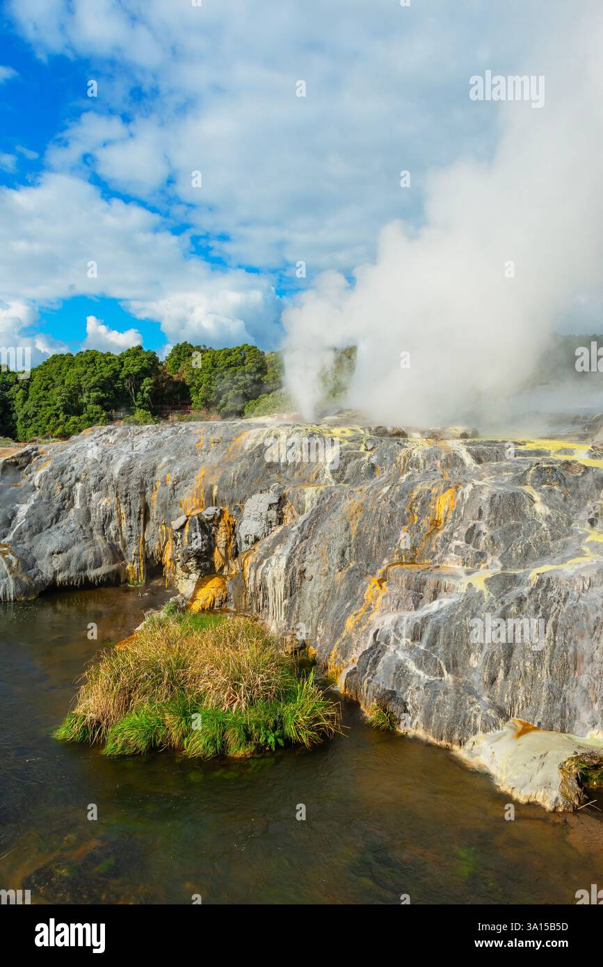 Geysers erupting, Te Puia Thermal Valley, Rotorua, Bay of Plenty, North ...