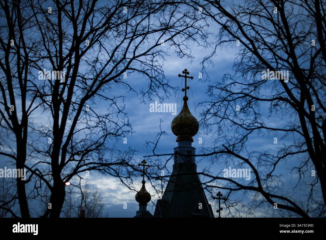 View of St. John's Church through tree branches in St. Petersburg ...
