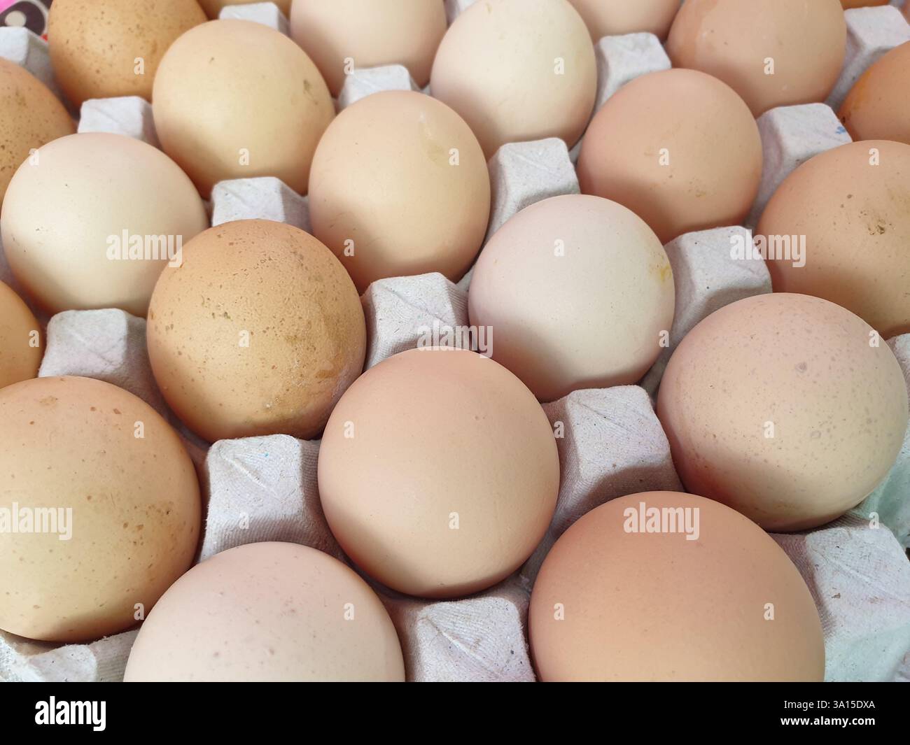 Fresh eggs products for sale in supermarket open daily. Egg prices in ...