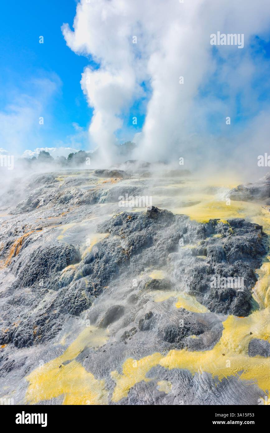 Prince of Wales and Pohutu geysers erupting, Te Puia Thermal Valley ...