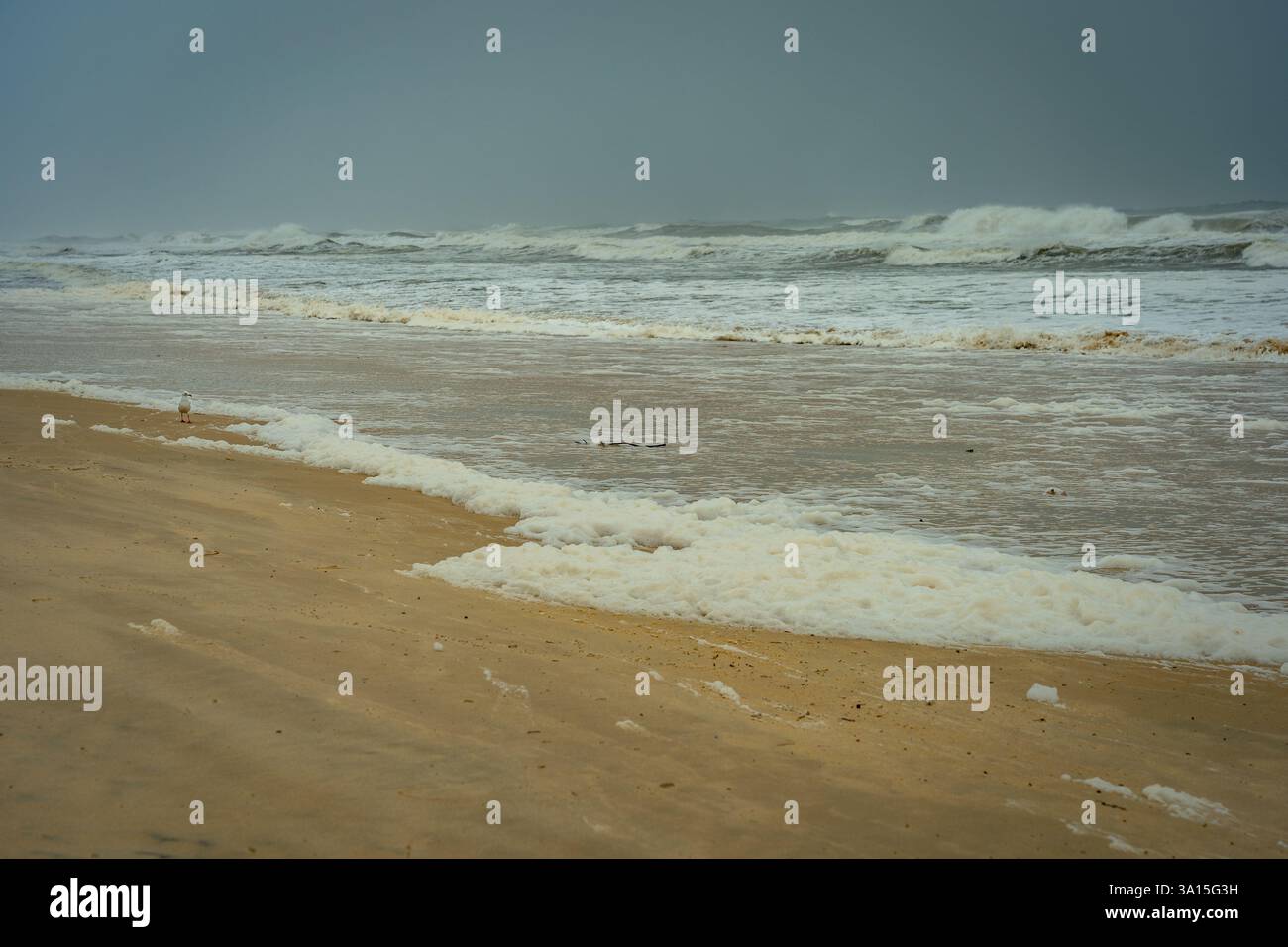 Gold Coast, QLD, Australia - Mar 7, 2025: Stormy weather with cyclone ...