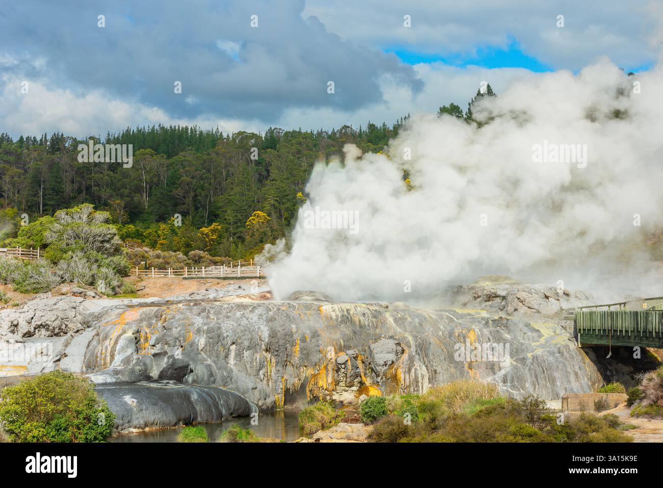 Geysers erupting, Te Puia Thermal Valley, Rotorua, Bay of Plenty, North ...