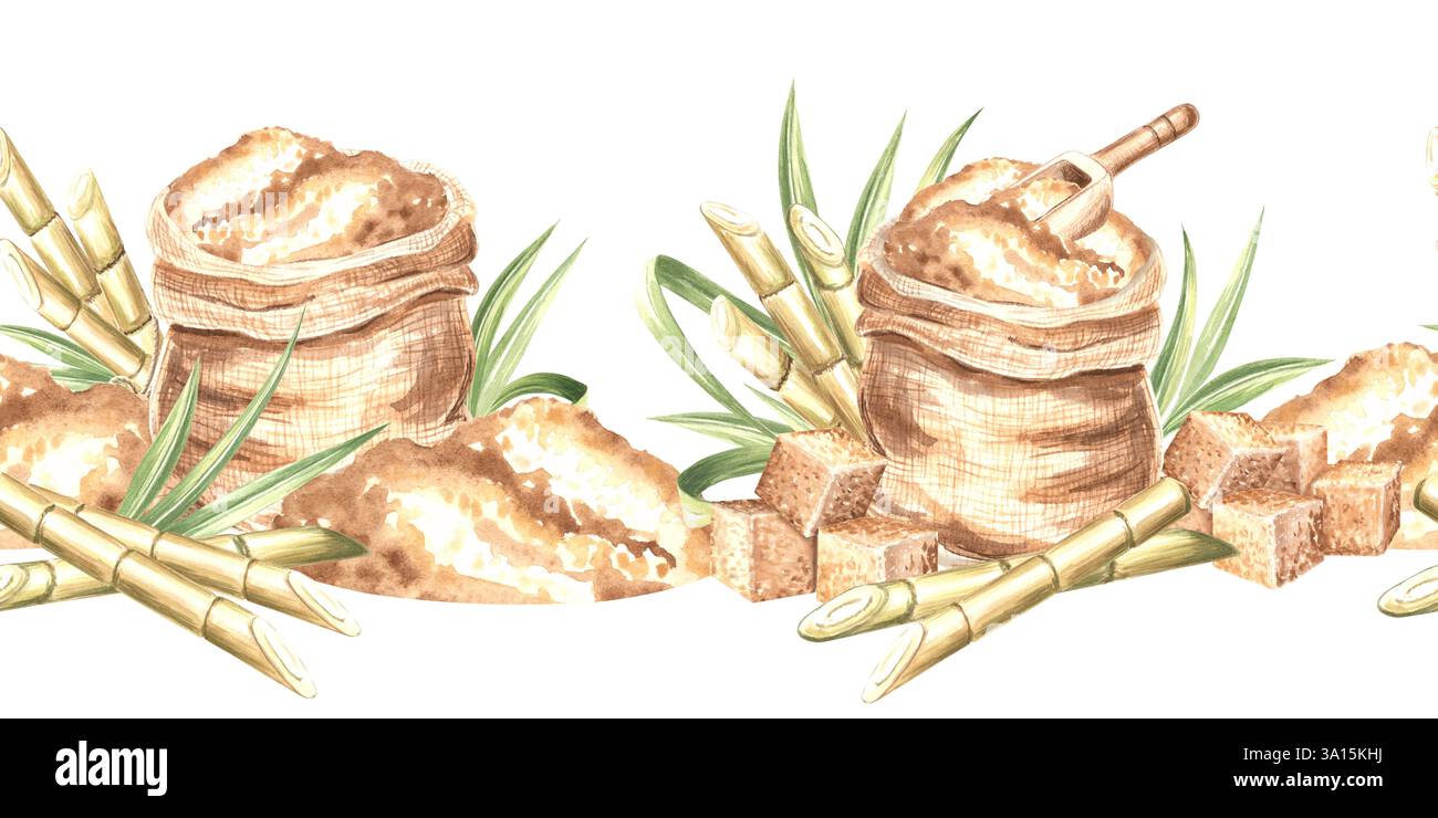 Brown sugar in sack and shugar cane with leaves. Seamless border of ...
