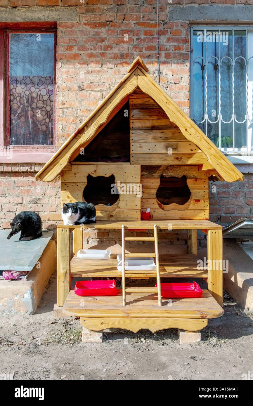Wooden cat house on the street with stray cats Stock Photo - Alamy