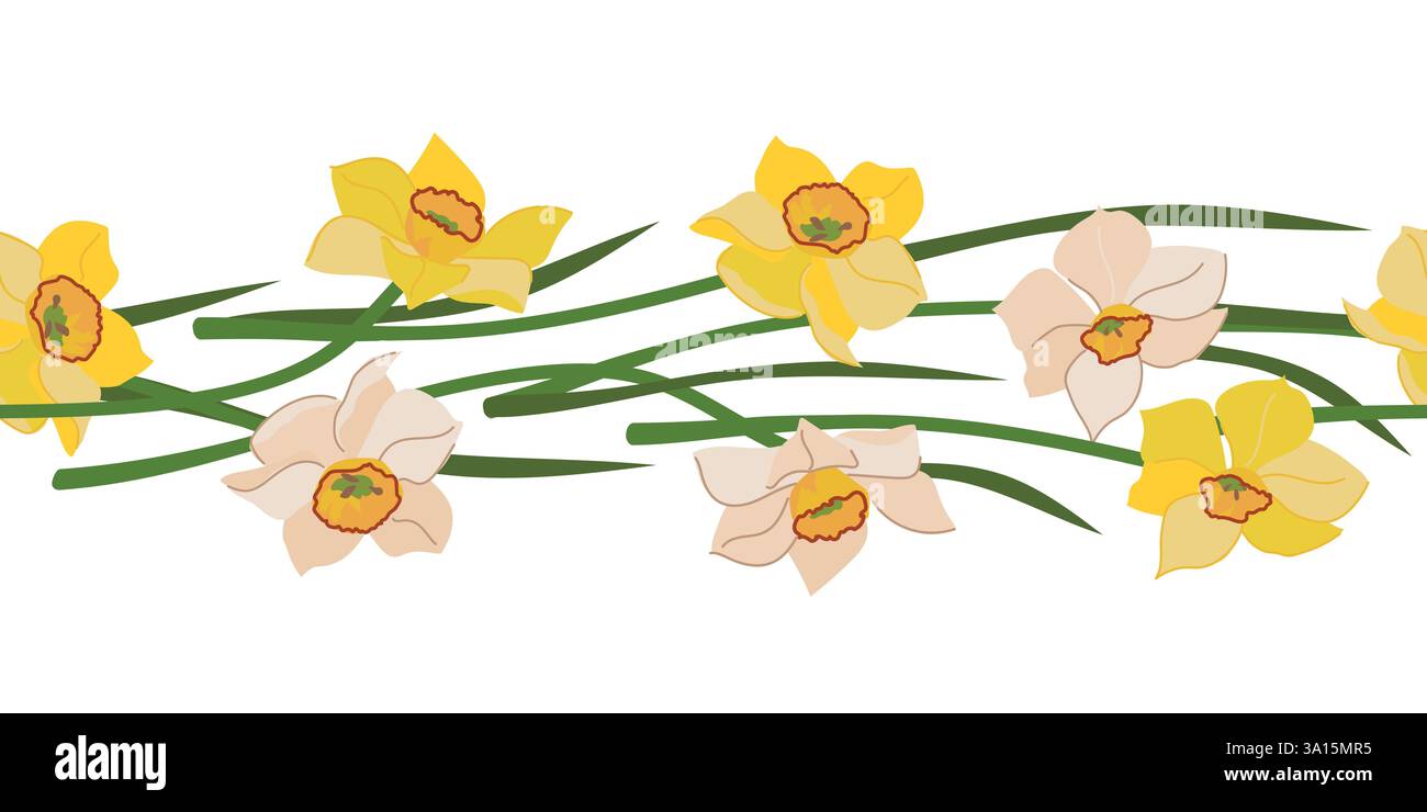 Seamless border of daffodils isolated on white background. Yellow and ...